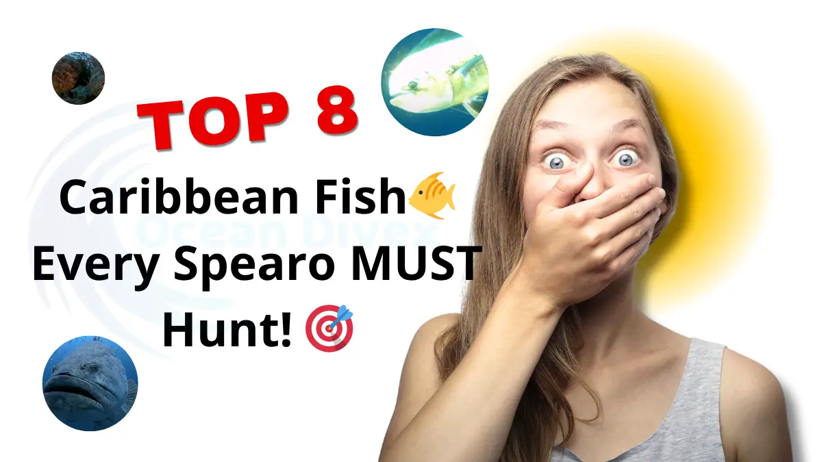 Best Caribbean Fish to Spearfish: Top Catches You Must Target!🐠